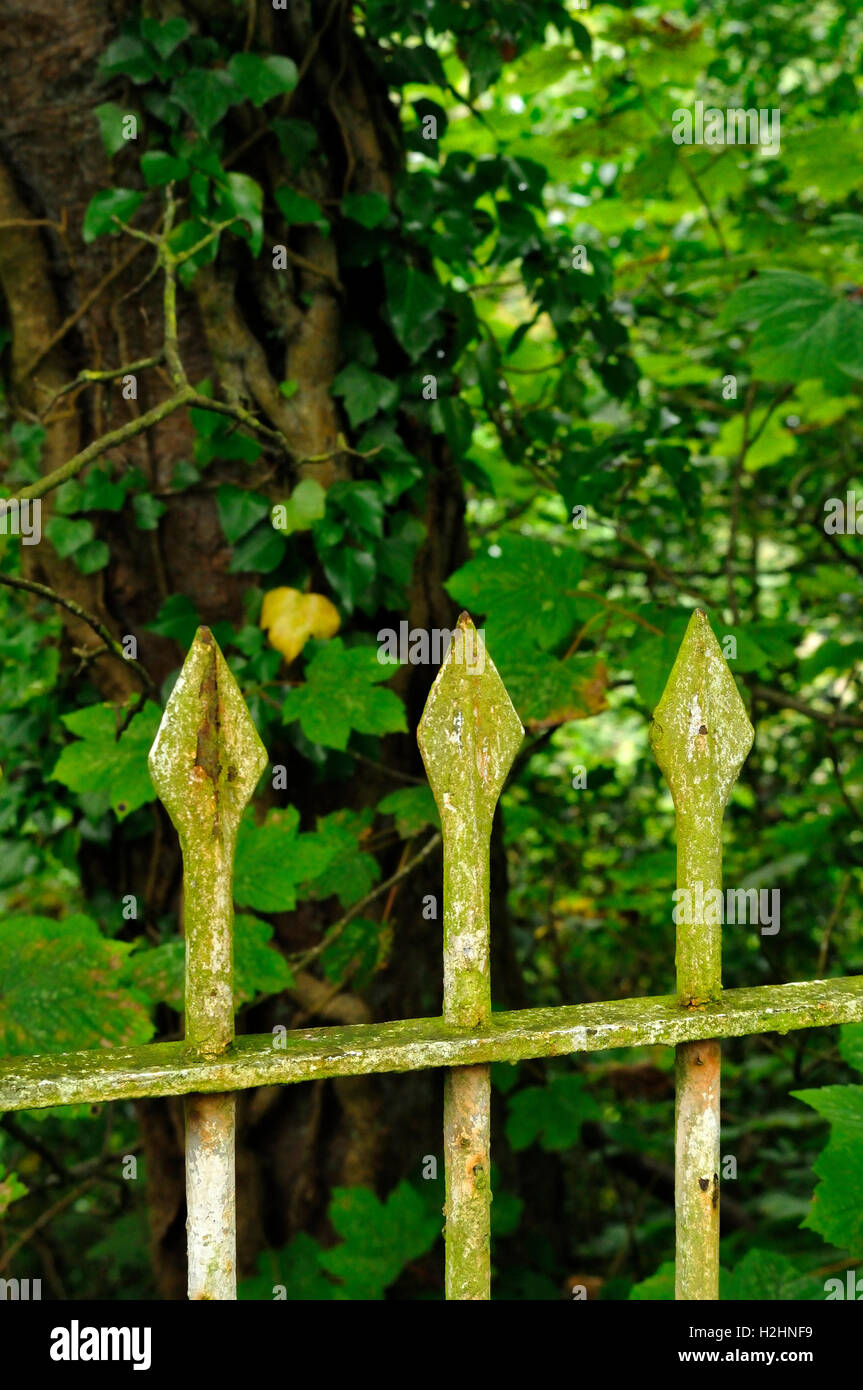 Gradual decay hi-res stock photography and images - Alamy
