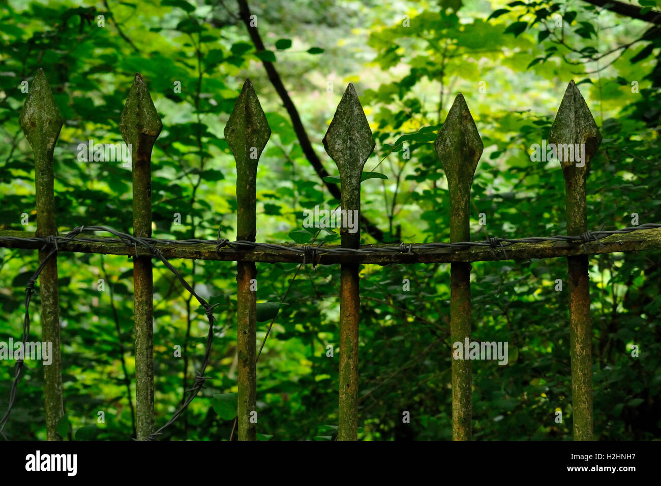 Gradual decay hi-res stock photography and images - Alamy
