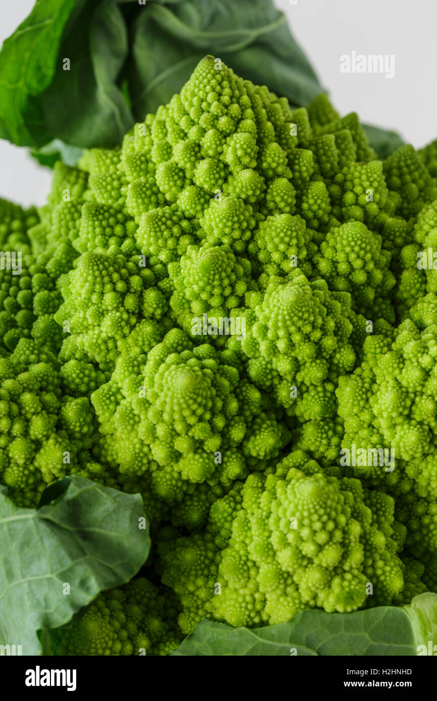 Romanesco Head High Resolution Stock Photography and Images - Alamy
