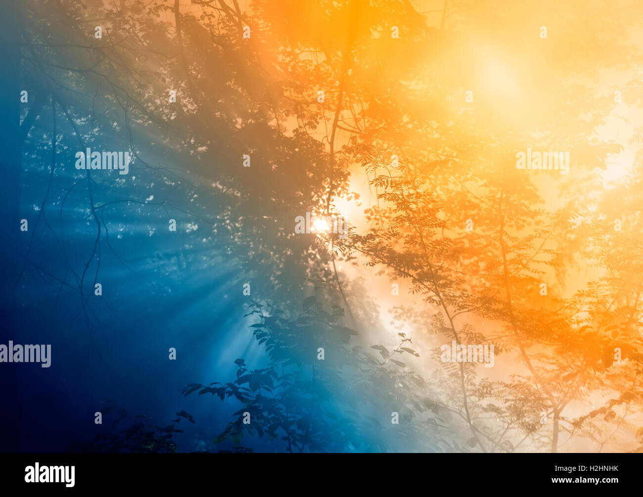 Sun light disaster disaster fire hi-res stock photography and images ...