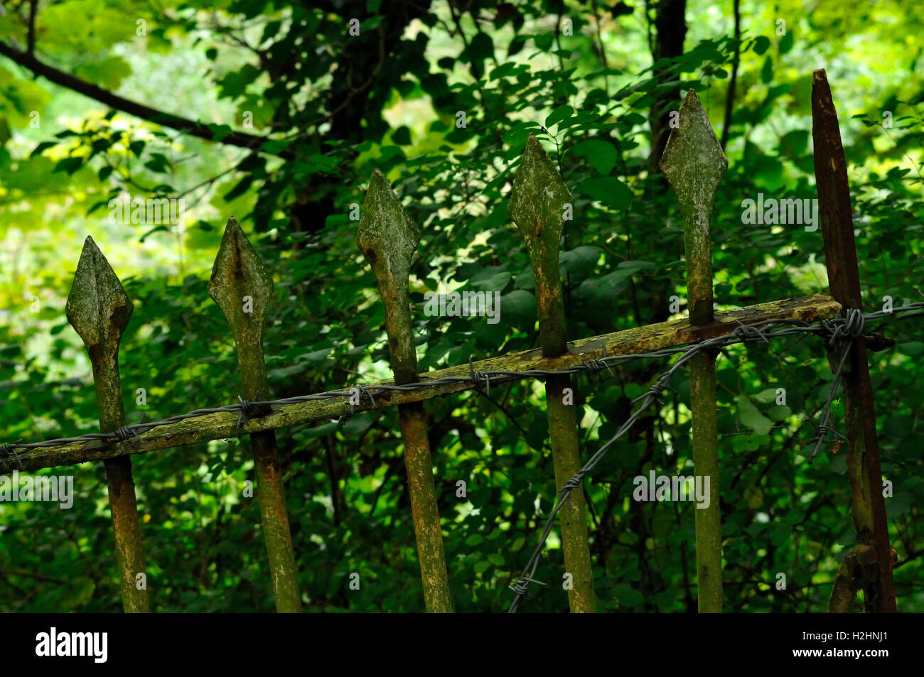 Gradual decay hi-res stock photography and images - Alamy