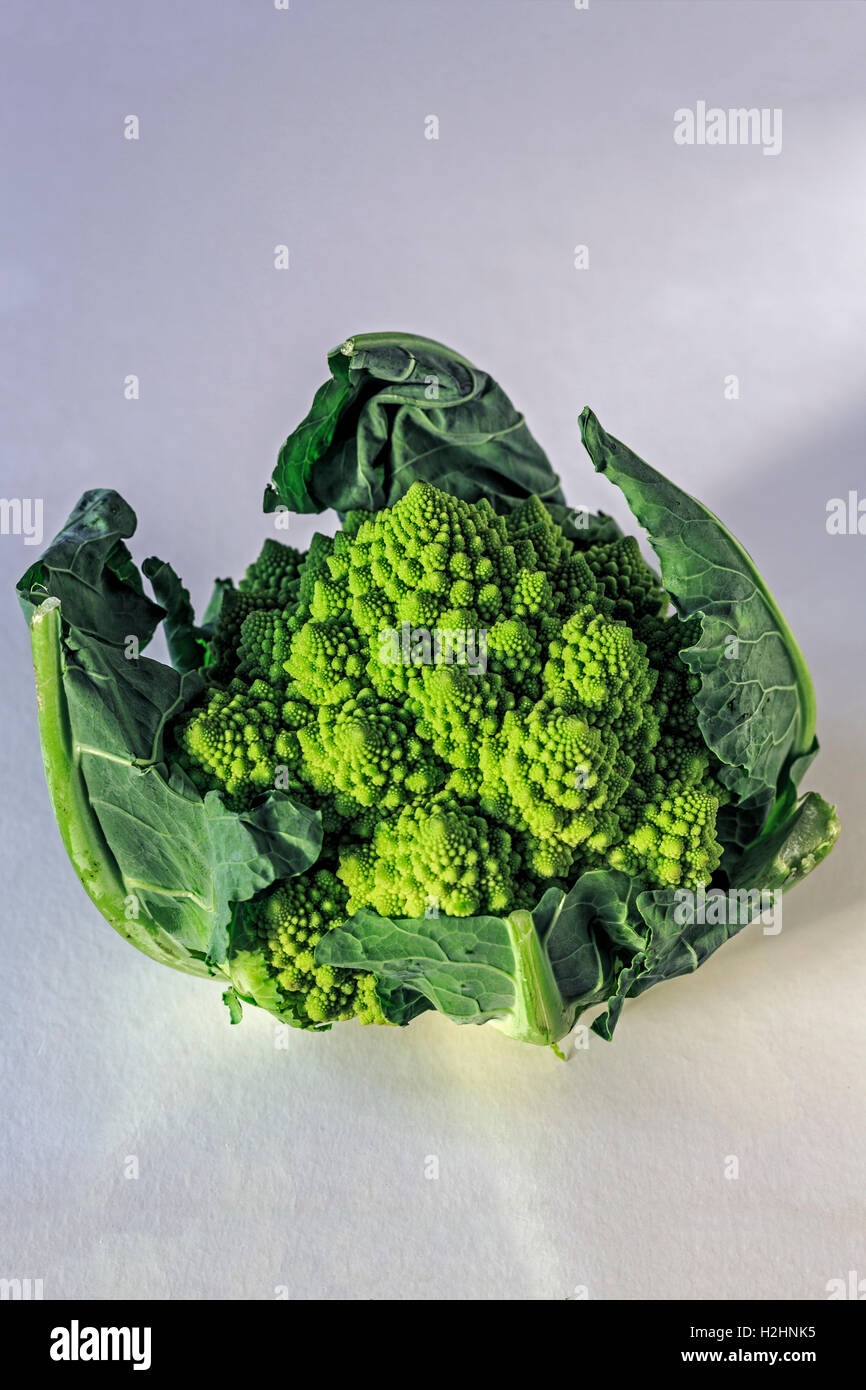 Romanesco cauliflower hi-res stock photography and images - Alamy