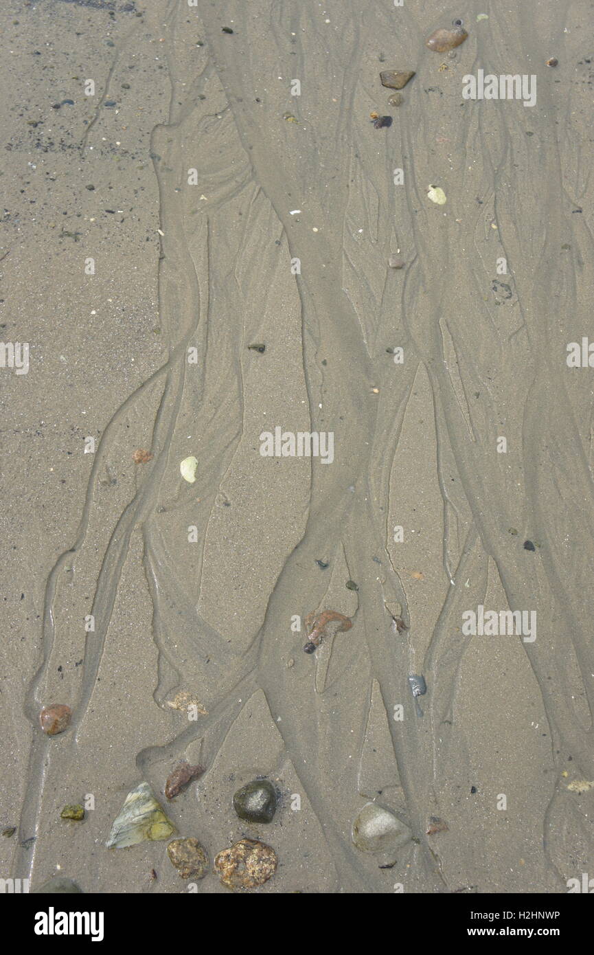 Close up of beach at low tide Stock Photo - Alamy
