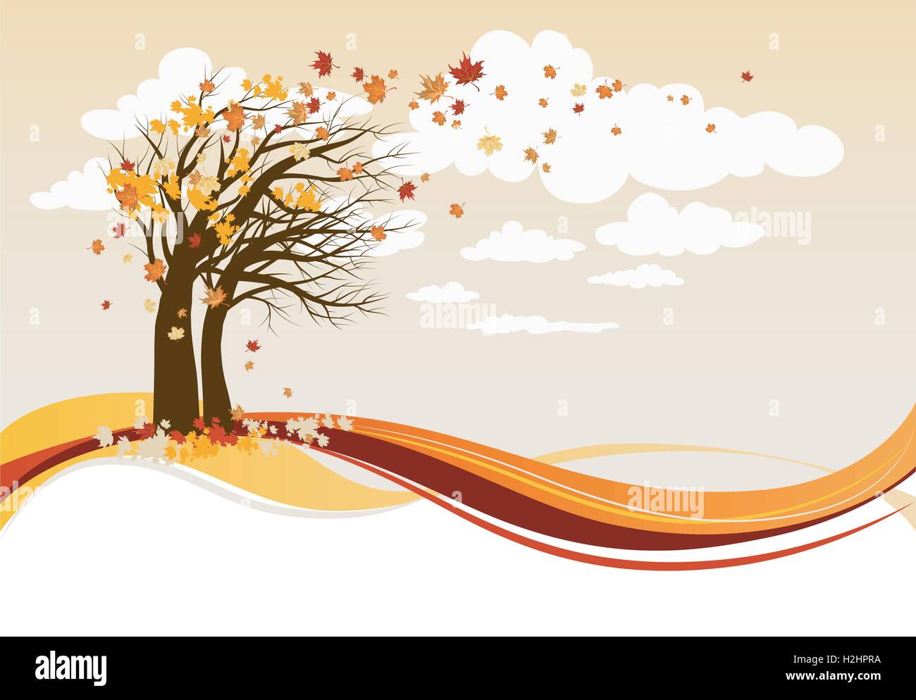 Canada maple trees Stock Vector Images - Alamy