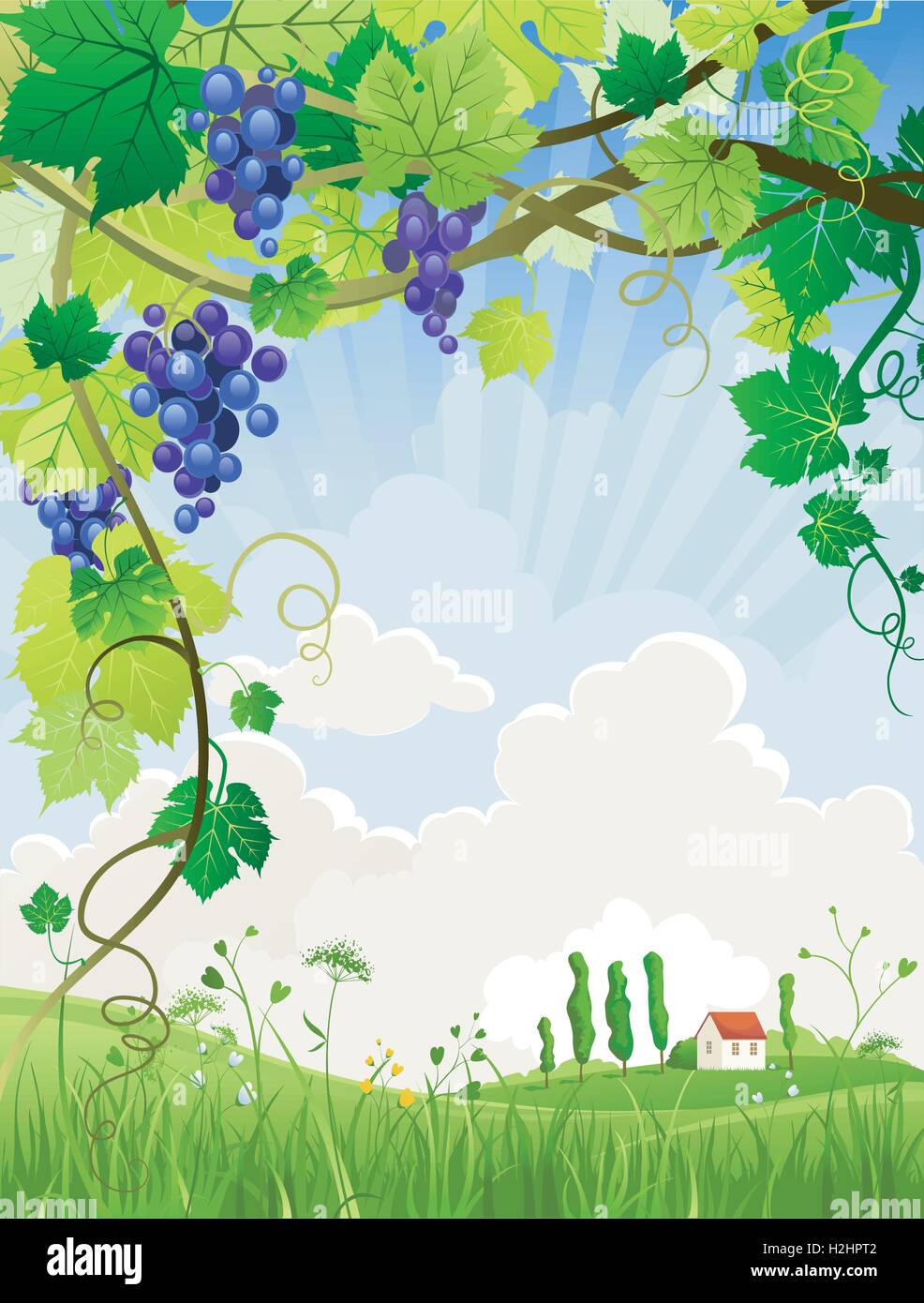 Field landscape agriculture background Stock Vector Images - Alamy