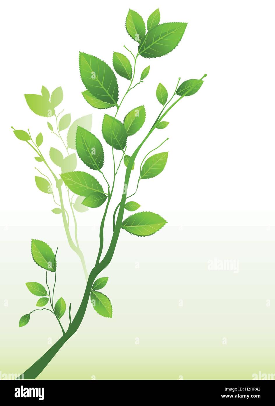 Lush green garden Stock Vector Images - Alamy