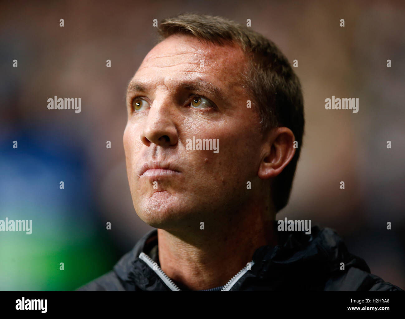 Celtic manager Brendan Rodgers during the UEFA Champions League, Group ...