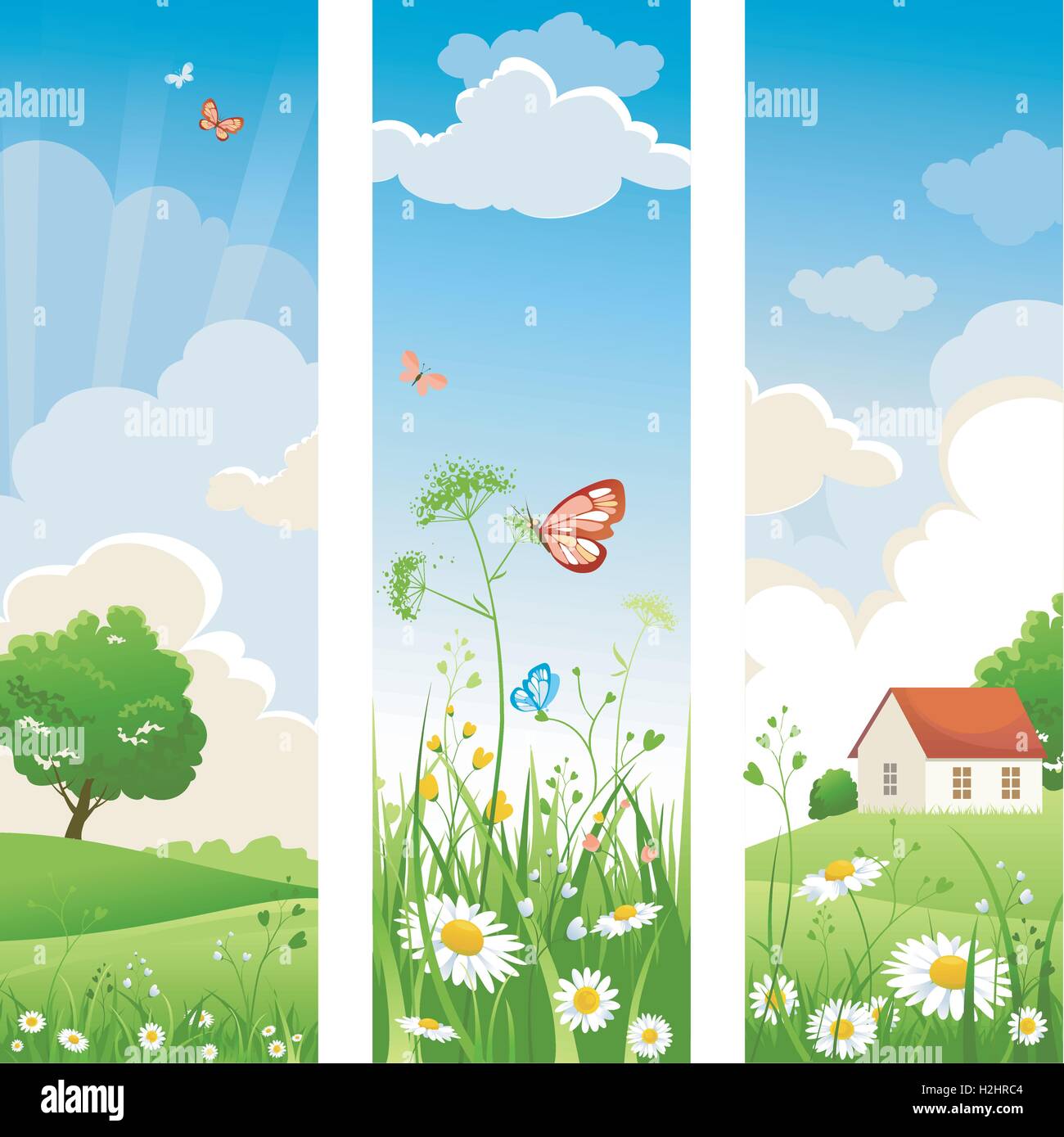 Butterfly and flower scenery view Stock Vector Images - Alamy