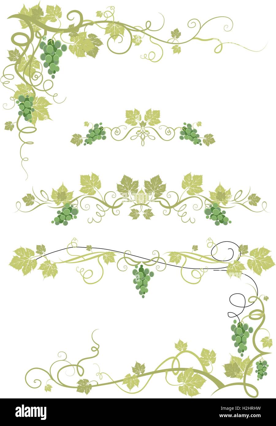 Rose in vineyard Stock Vector Images - Alamy