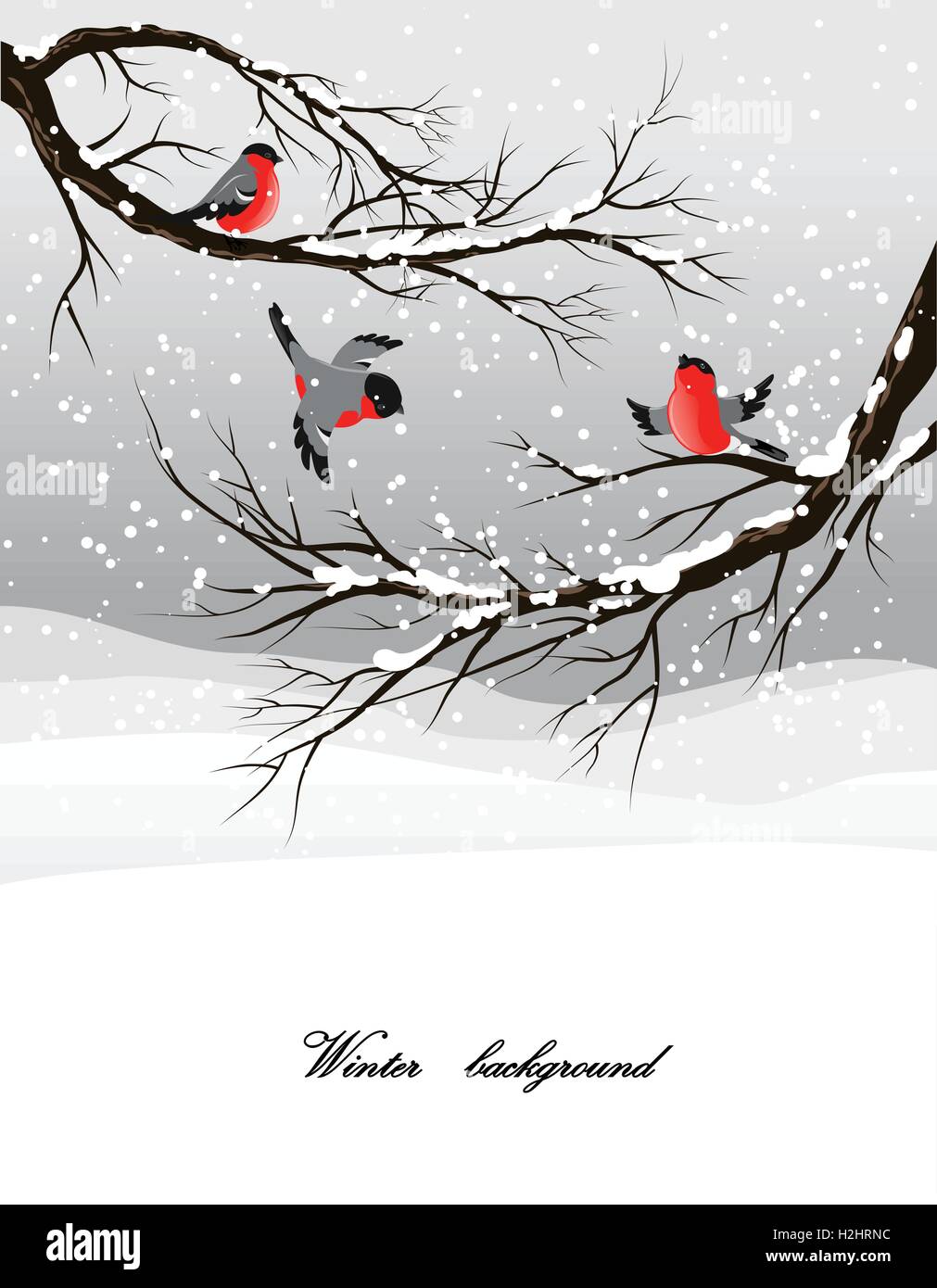 Christmas background snowflakes bullfinch Stock Vector Images - Alamy