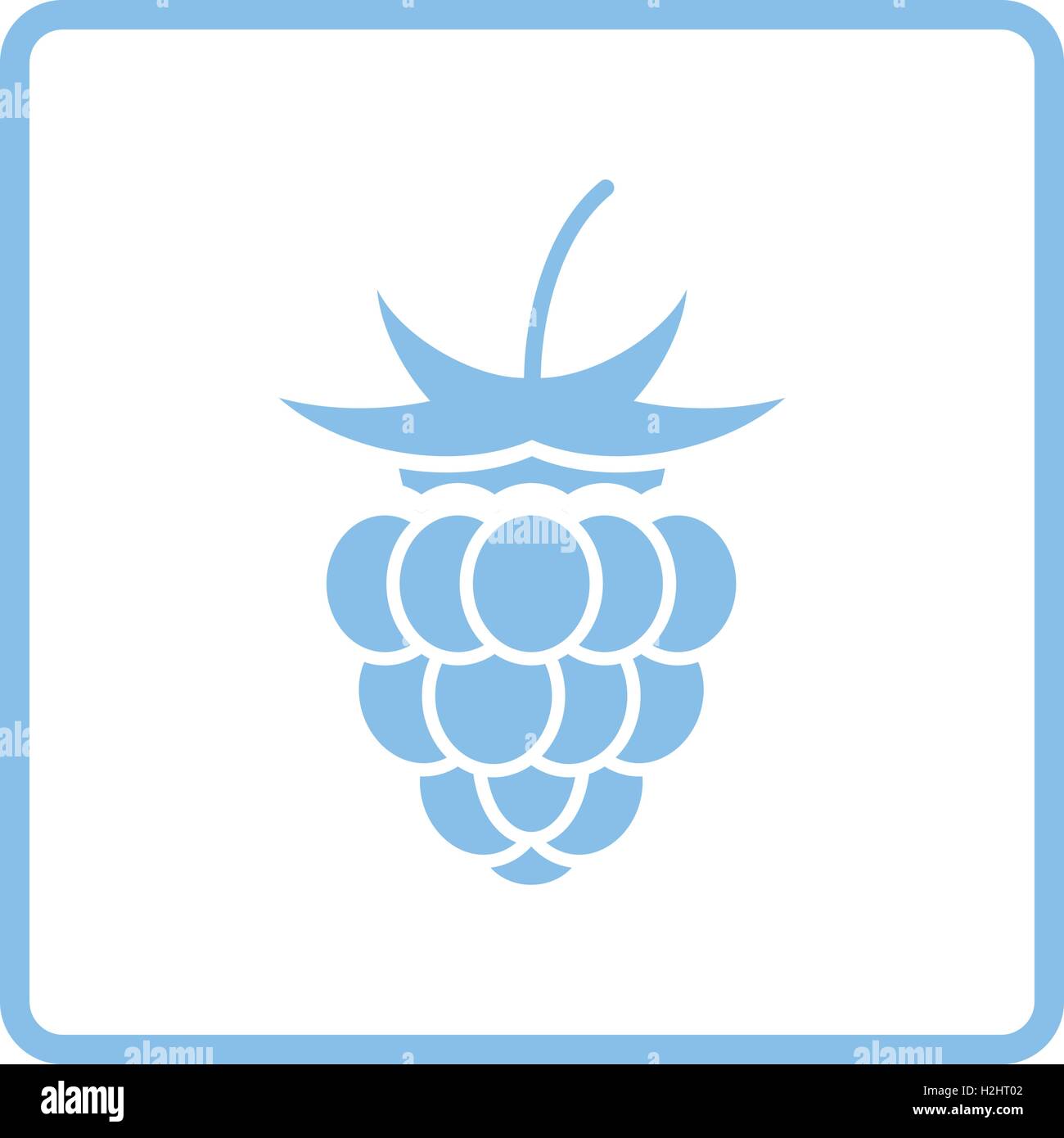 Raspberry icon. Blue frame design. Vector illustration Stock Vector ...