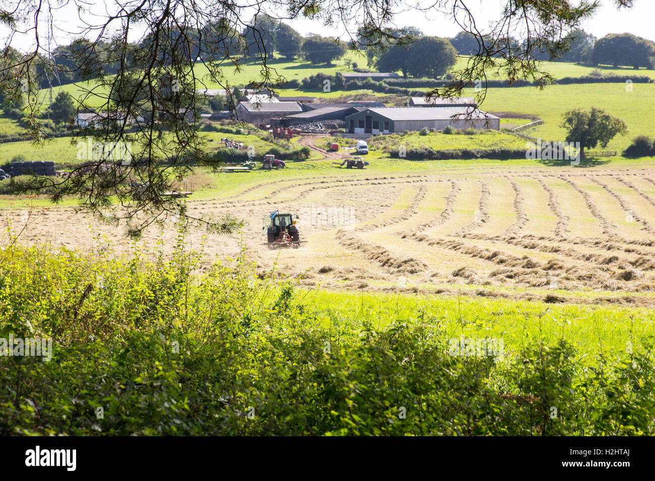 Making hay while the sun shines Stock Photo - Alamy