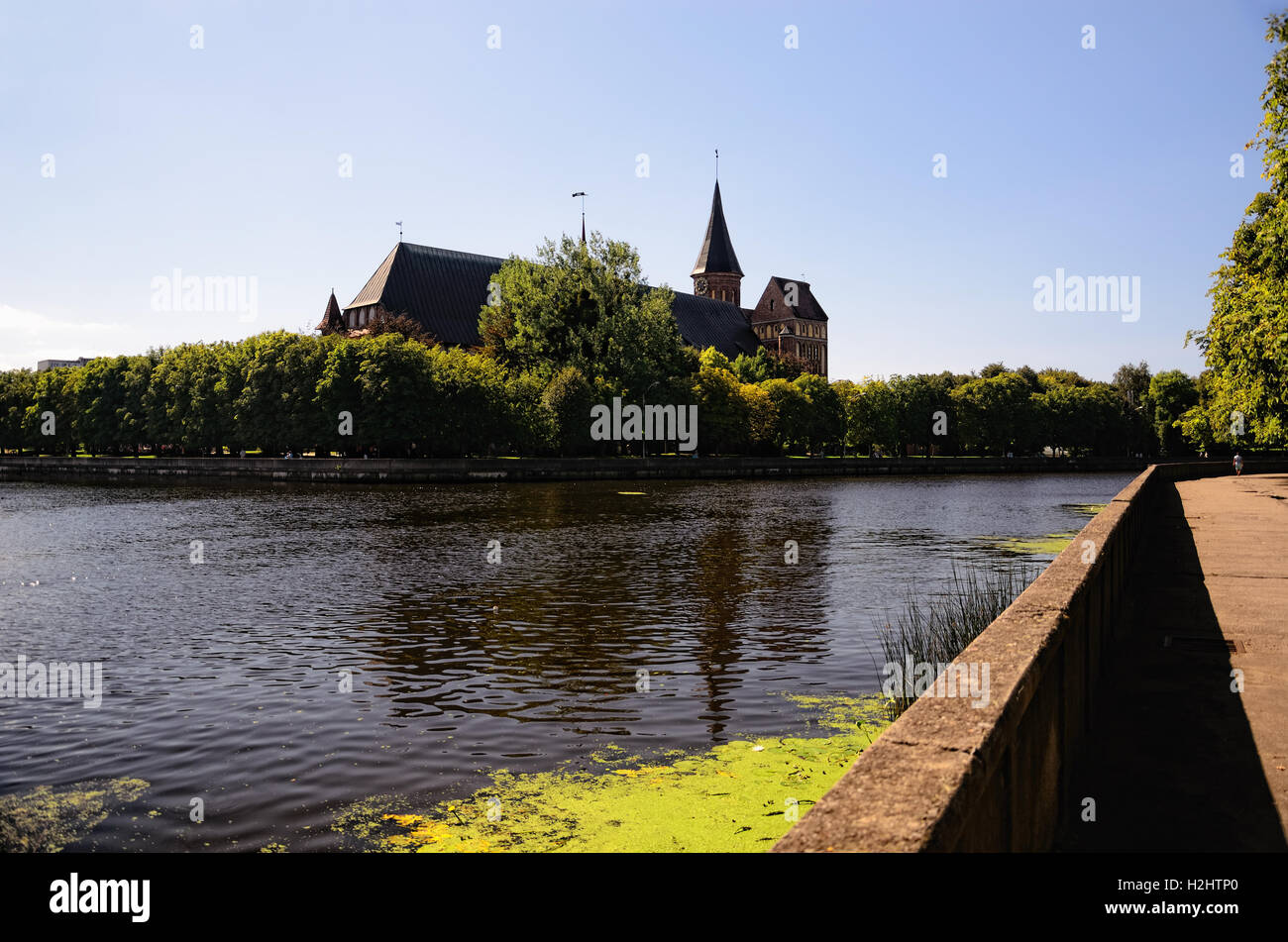 Königsberg Cathedral in Kaliningrad, Russia Stock Photo - Alamy