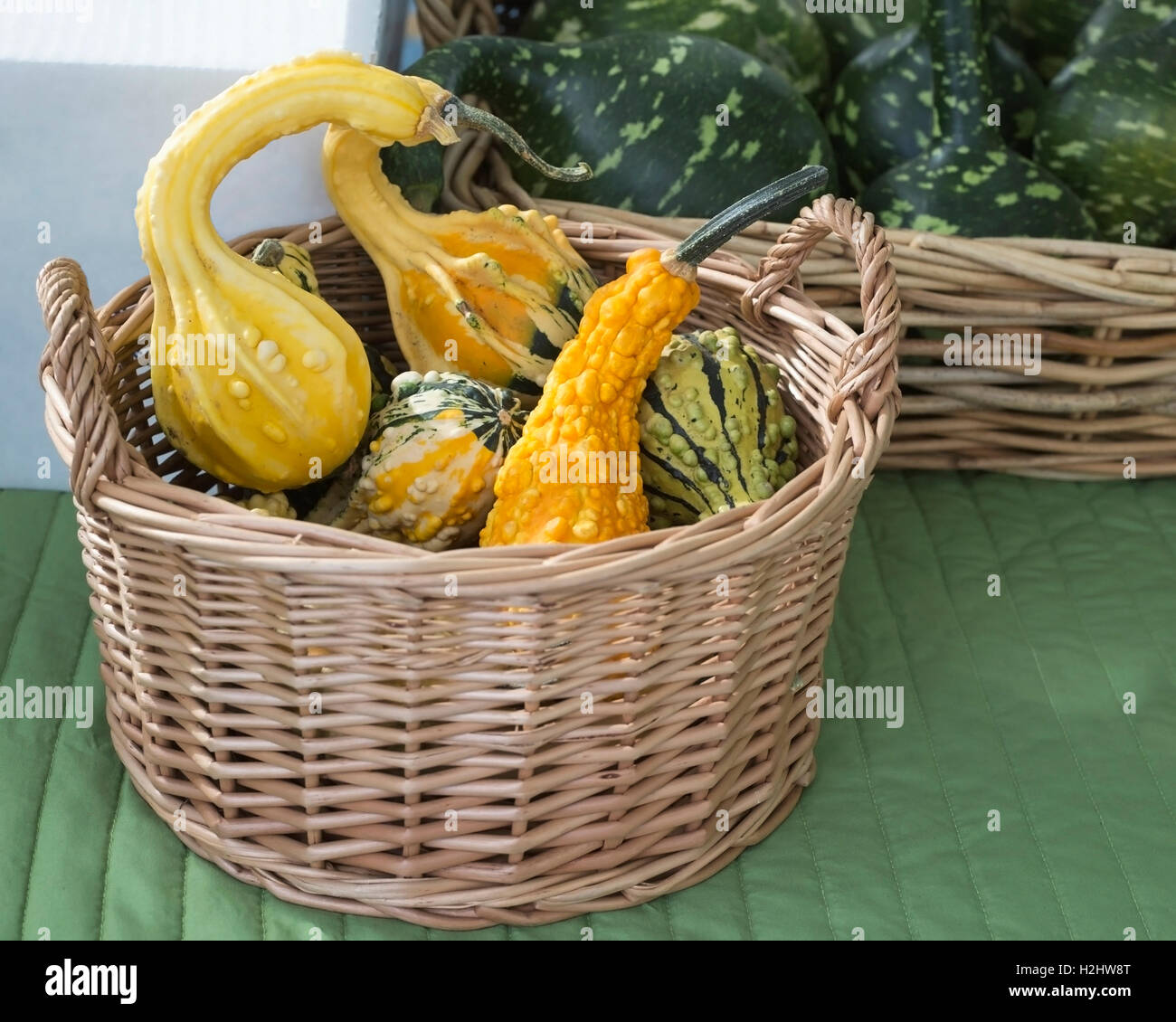 Basket of gourds for sale at Hillhurst Sunnyside Farmers' Market in ...