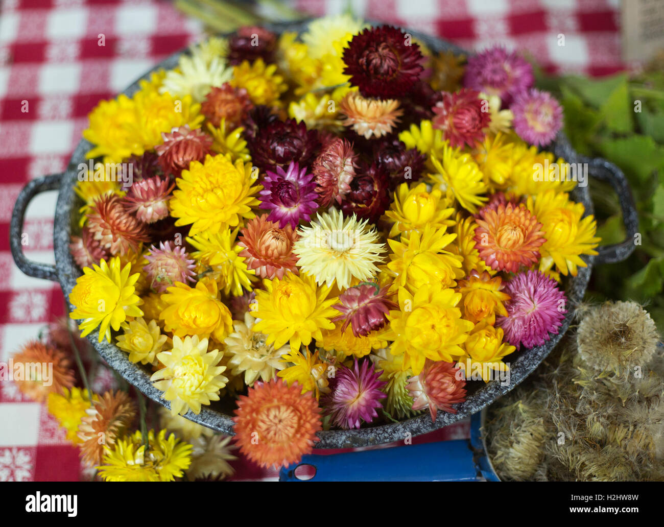 Farmer's markets in calgary hi-res stock photography and images - Alamy
