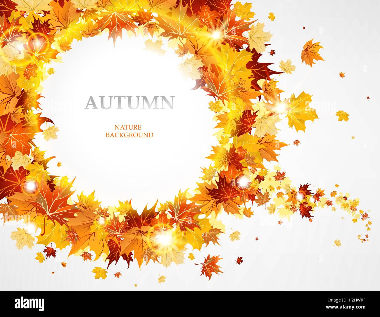 Frame with the beautiful maple leaves Stock Vector Image & Art - Alamy