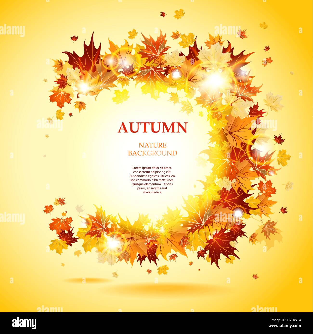 Maple leaves background Stock Vector Image & Art - Alamy