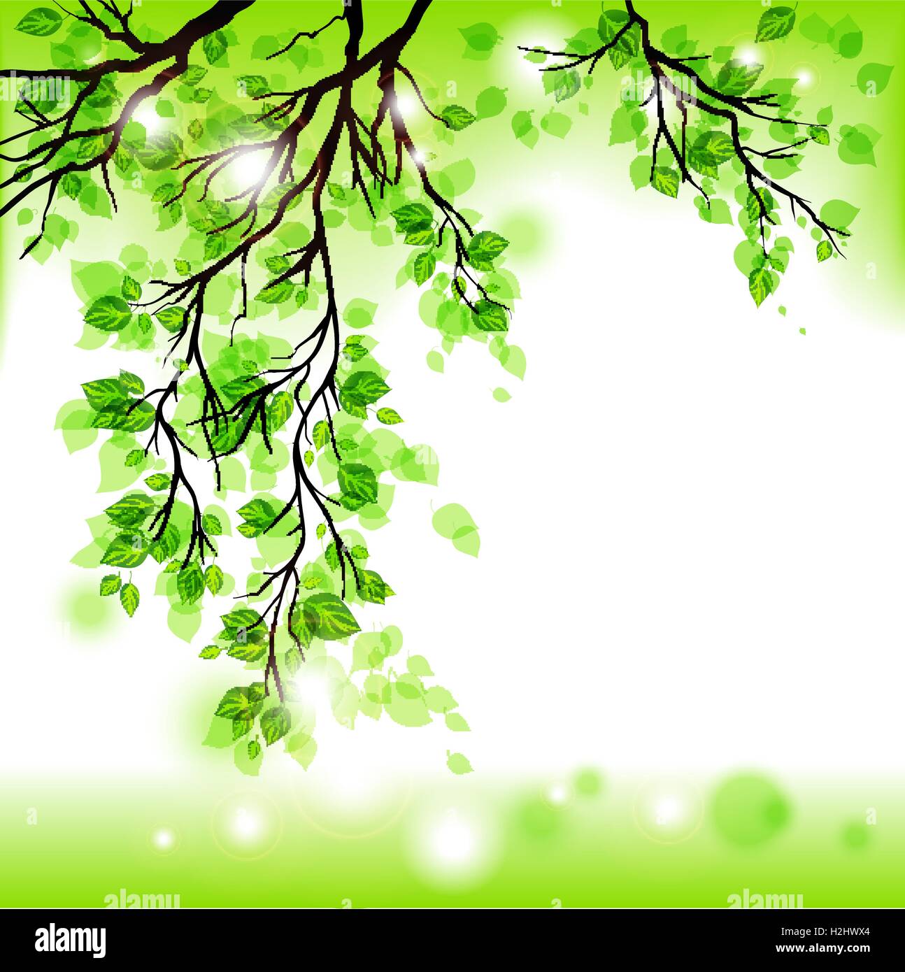 Park in spring beautiful Stock Vector Images - Alamy