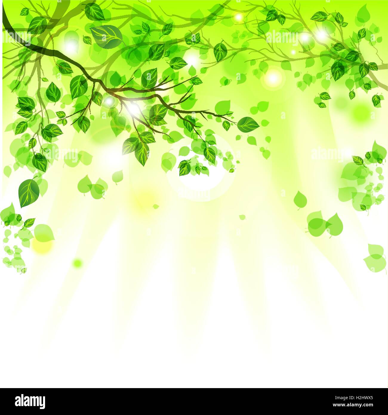 Spring leaves light background Stock Vector Image & Art - Alamy