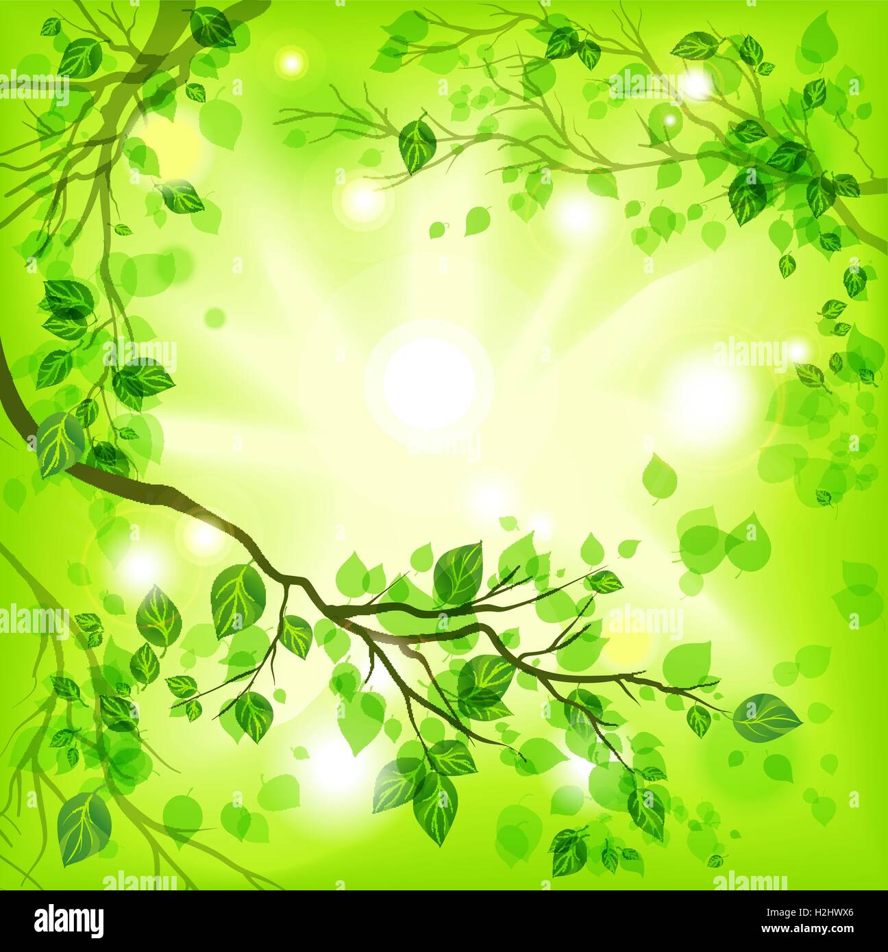 Spring light background Stock Vector Image & Art - Alamy