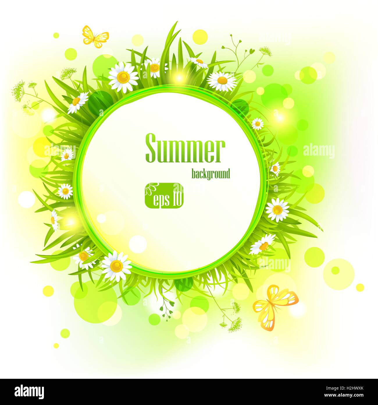 Summer light background with daisies Stock Vector Image & Art - Alamy
