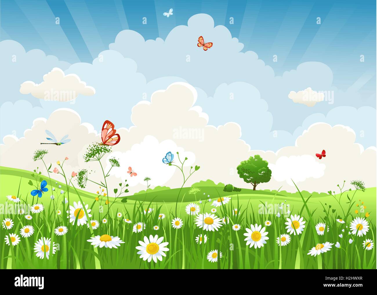 Summer sunny landscape Stock Vector Image & Art - Alamy