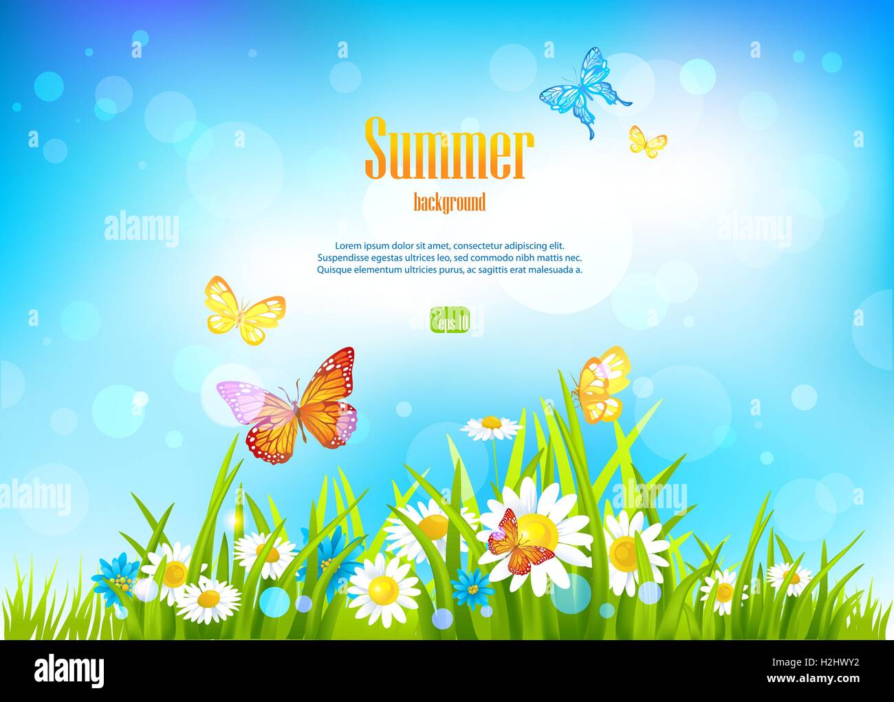 Sunny day background with flowers Stock Vector Image & Art - Alamy