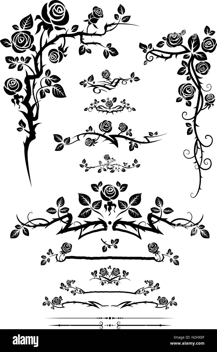 Black rose page border hi-res stock photography and images - Alamy