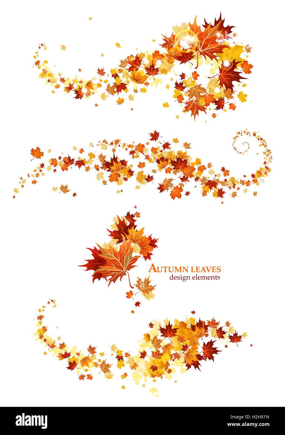 Autumn leaves design elements Stock Vector Image & Art - Alamy
