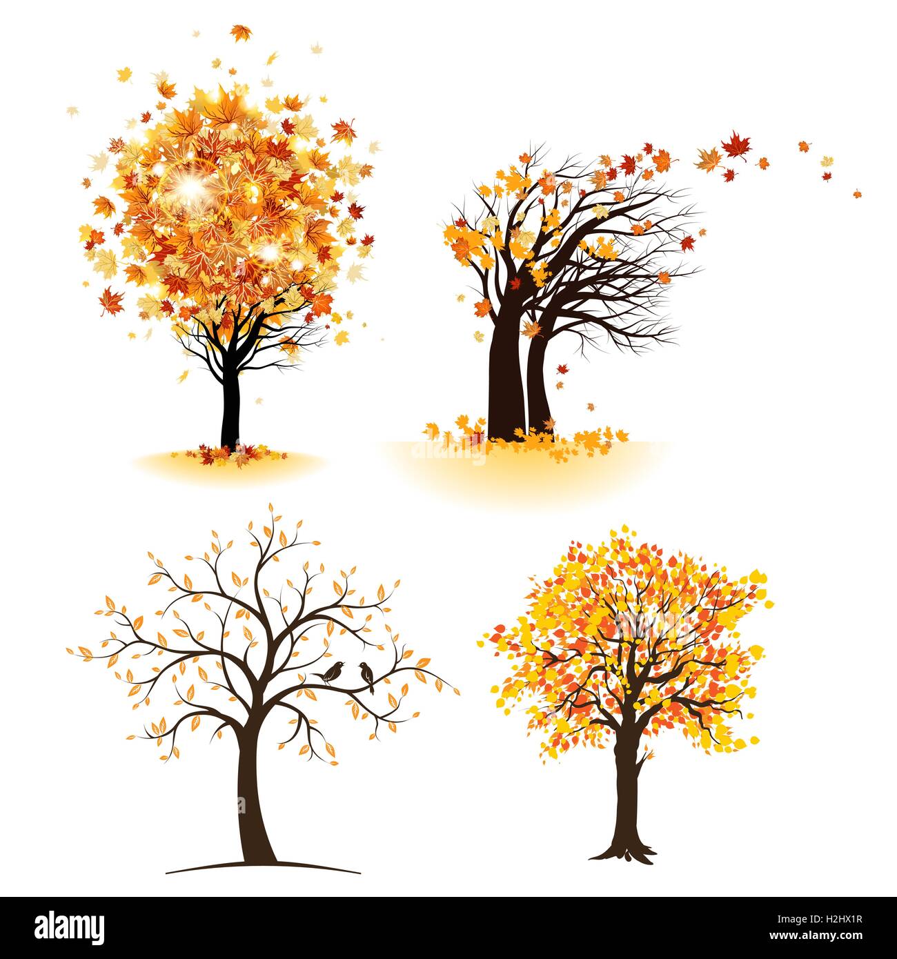 Autumn tree set Stock Vector Image & Art - Alamy