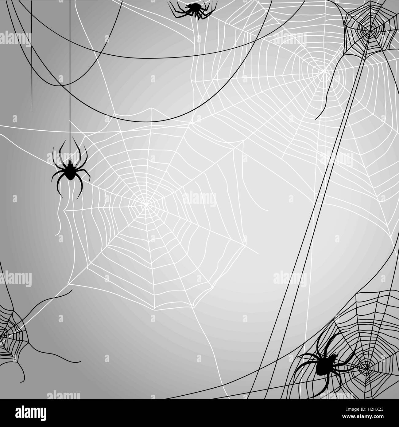 Background with spiders Stock Vector Image & Art - Alamy