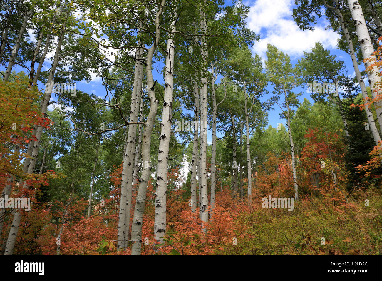 Fall vacations hi-res stock photography and images - Alamy