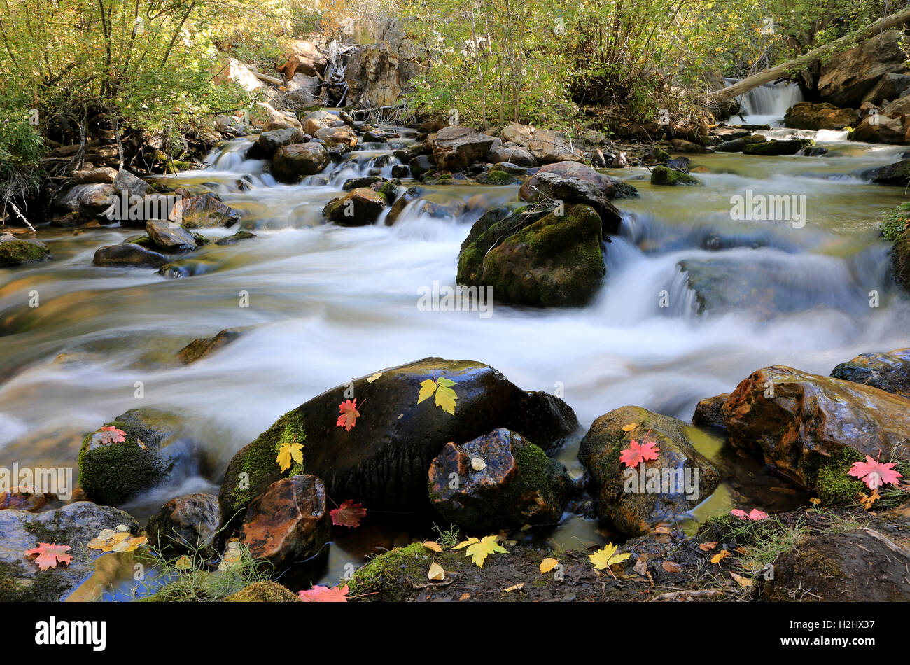Stream with beautiful rocks hi-res stock photography and images - Alamy