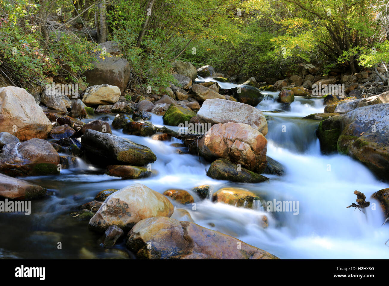 Mountain stream in a fall forest, Utah Stock Photo - Alamy