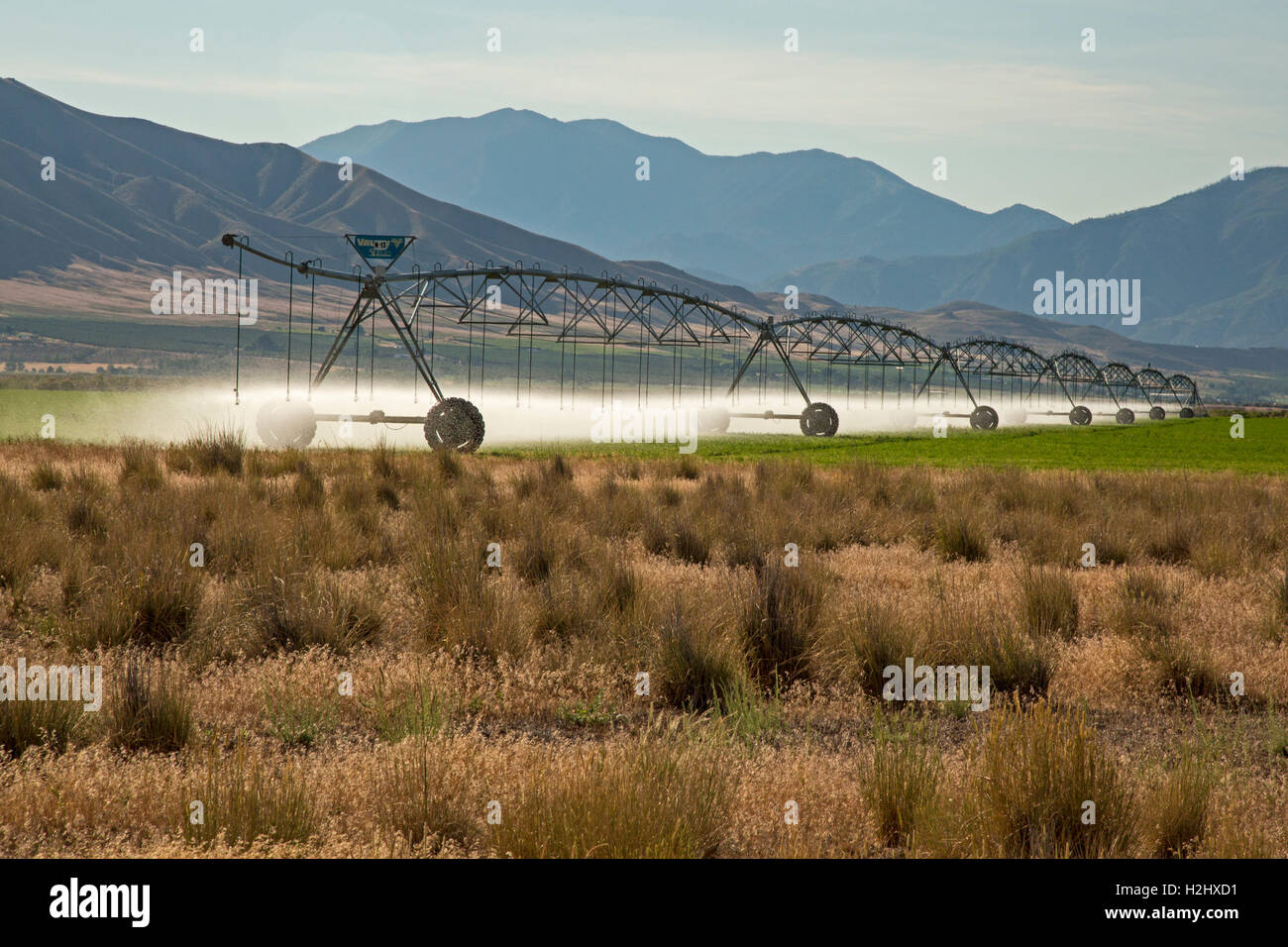 Elberta, Utah - Irrigration on a farm run by the Mormon Church near ...