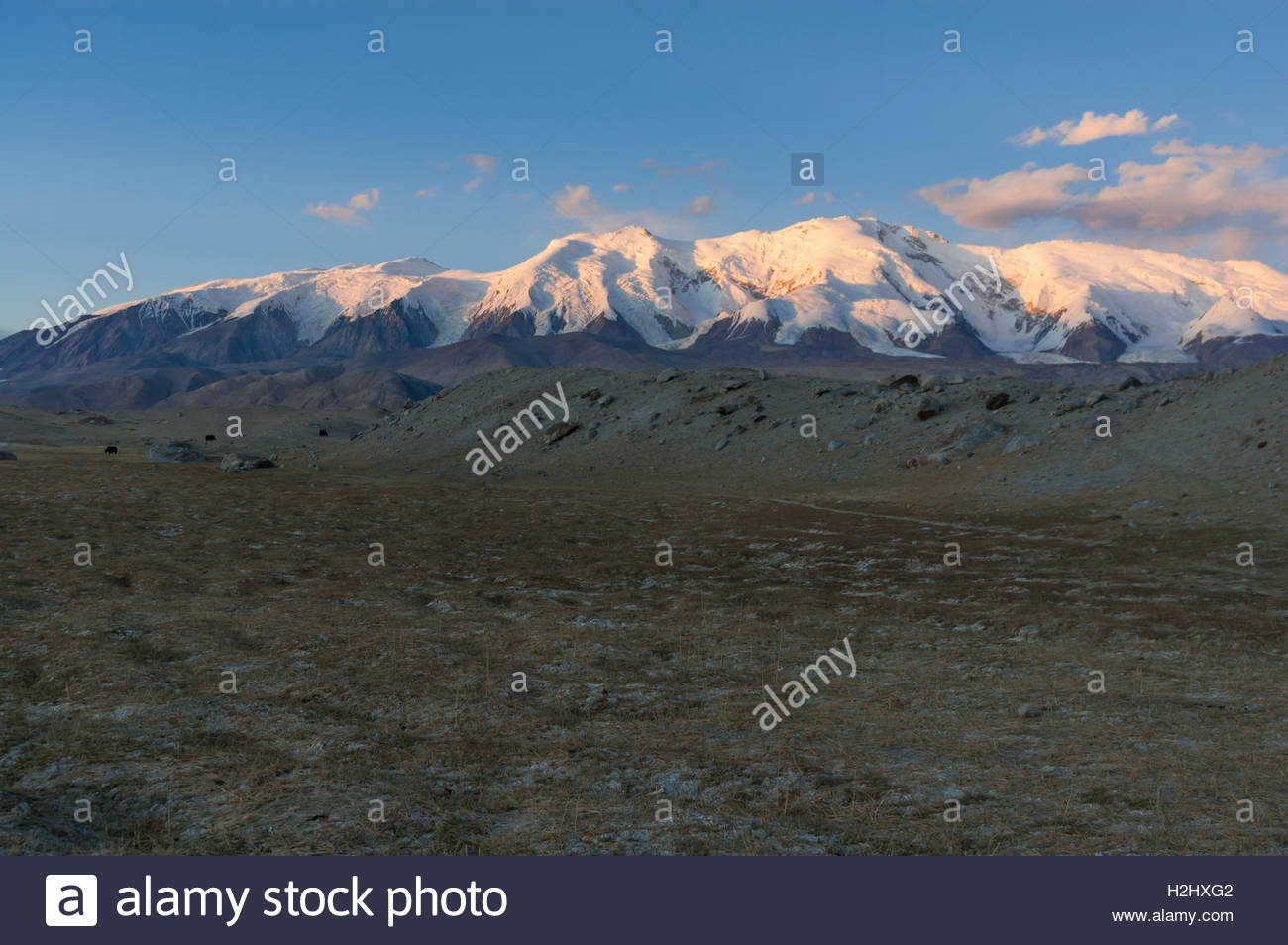 Tagh Stock Photos & Tagh Stock Images - Alamy