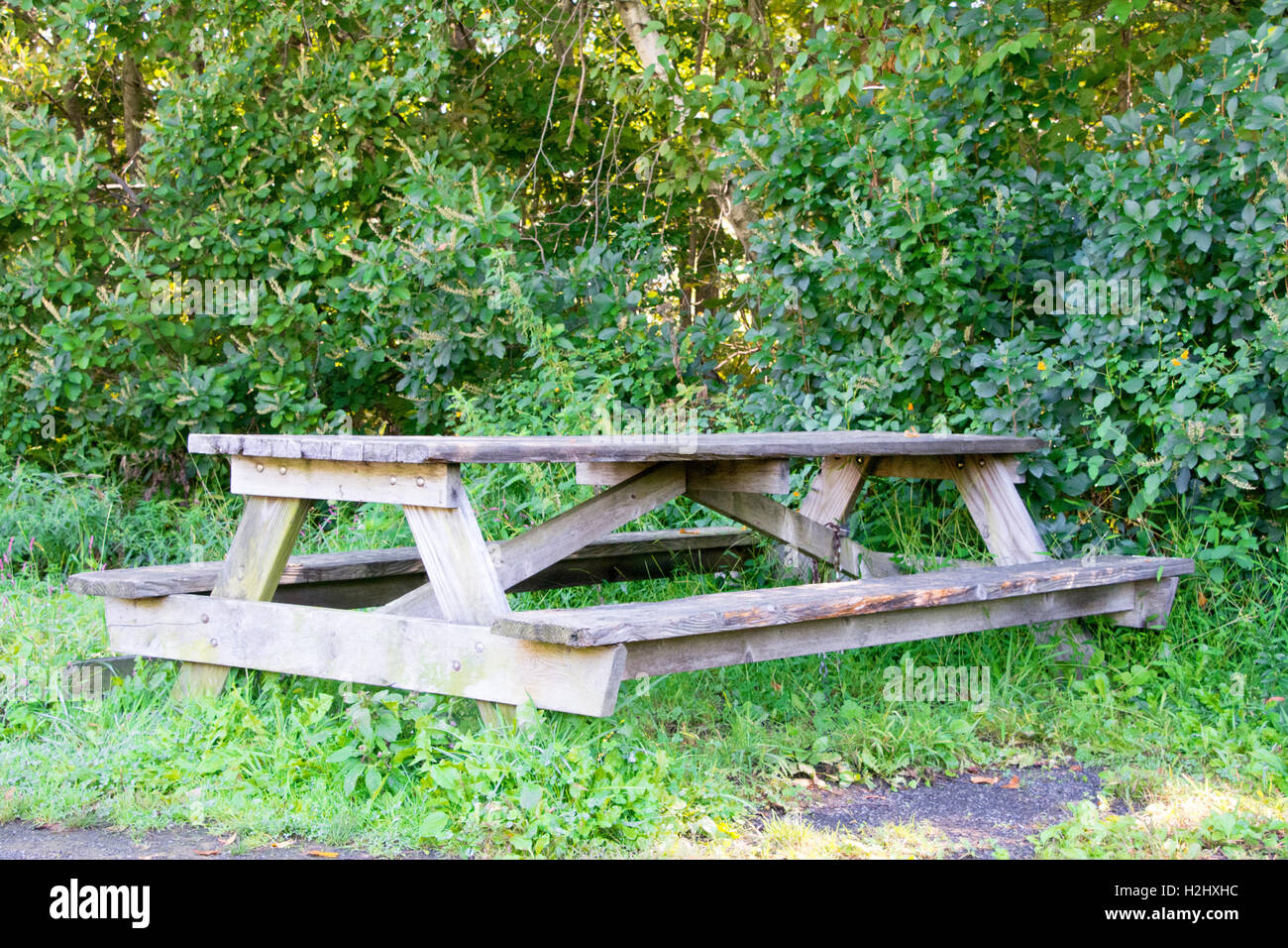 Bench in the Woods Stock Photo - Alamy