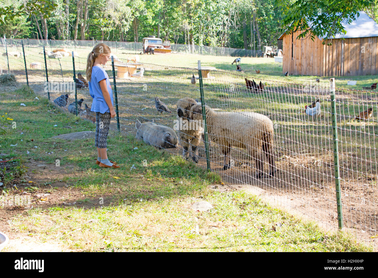 Cute Girl at the Farm Stock Photo - Alamy