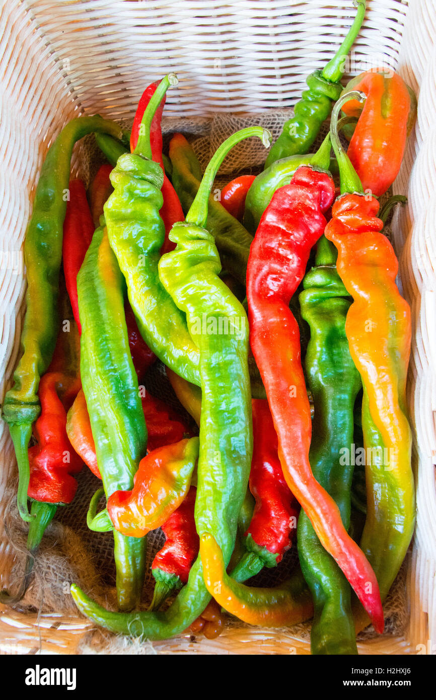 Long Hot Peppers Stock Photo - Alamy