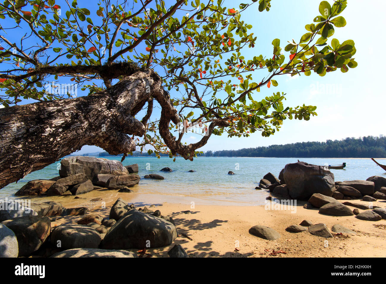 Paradisiac beach in Phuket Thailand Stock Photo - Alamy