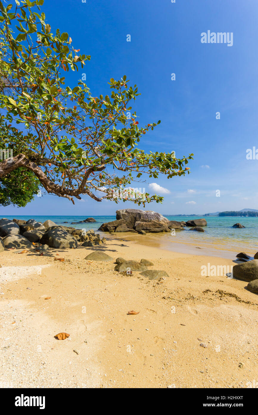NAI YANG beach in phuket island Thailand Stock Photo - Alamy