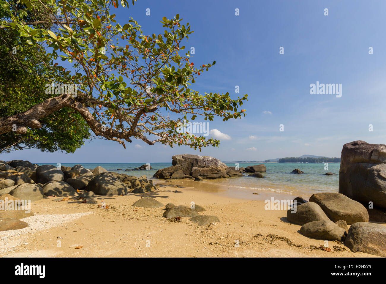 Tropical beach on the island of Phuket in Thailand Stock Photo - Alamy