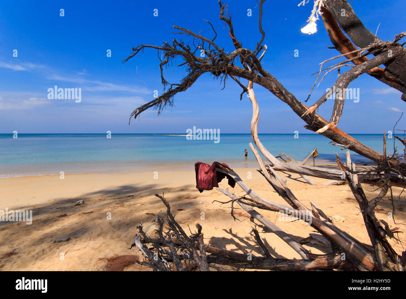 Paradisiac beach in Phuket Thailand Stock Photo - Alamy