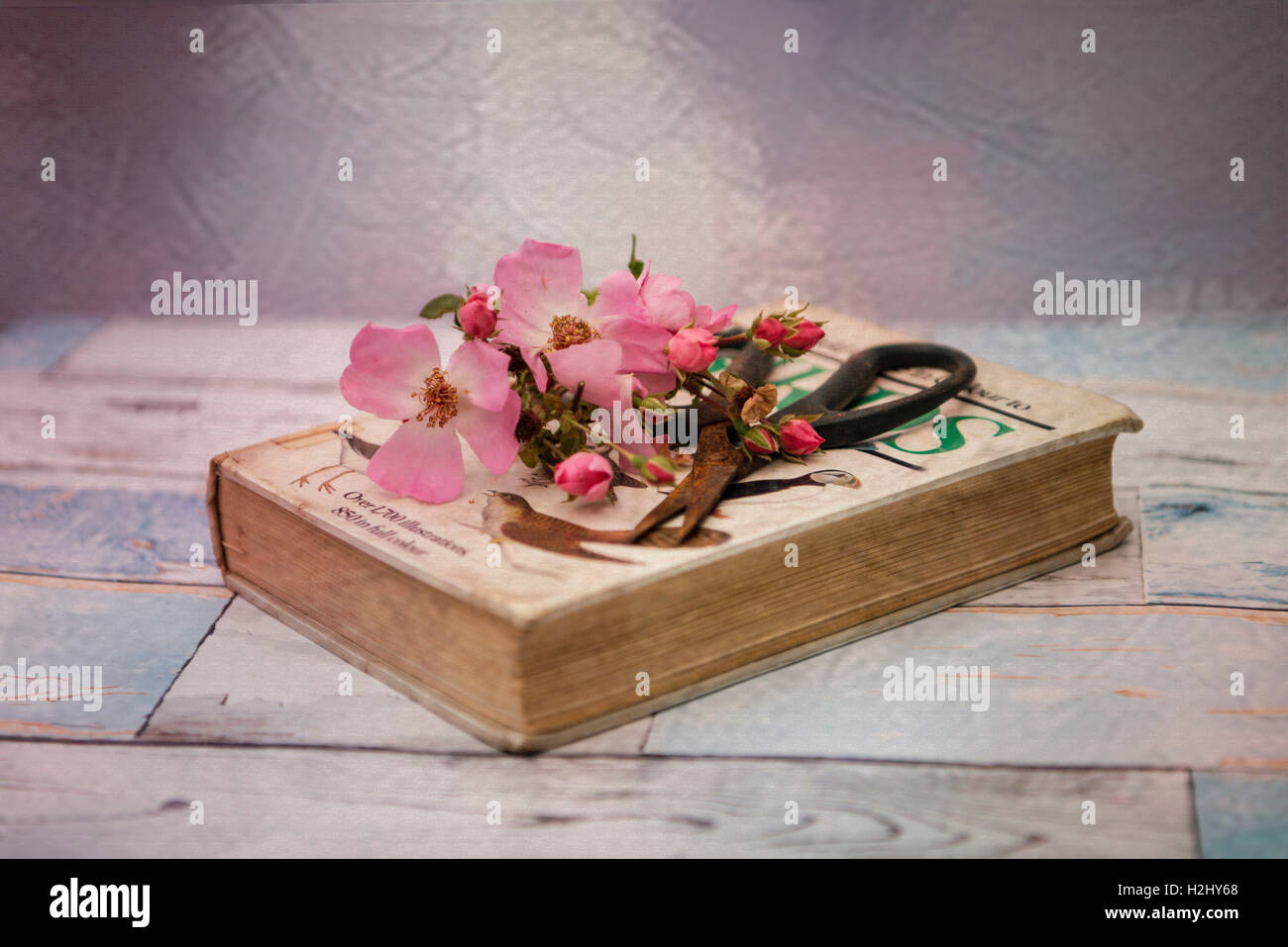 Old book with roses and Scissors Stock Photo - Alamy