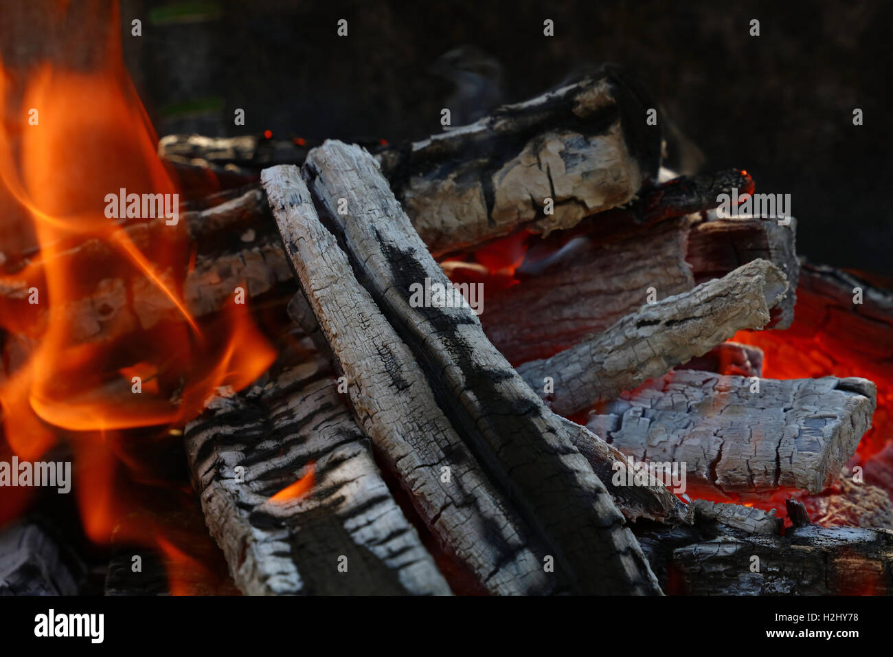 Blaze of bonfire, wood fire flame heat spires burning in fireplace with ...