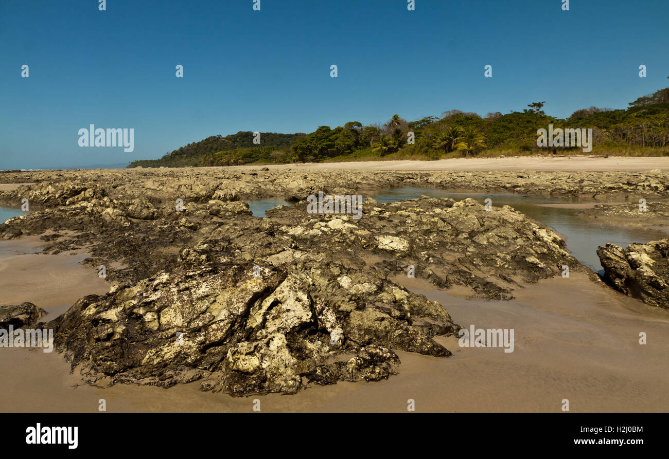 Rock pools at low tide Stock Photo - Alamy