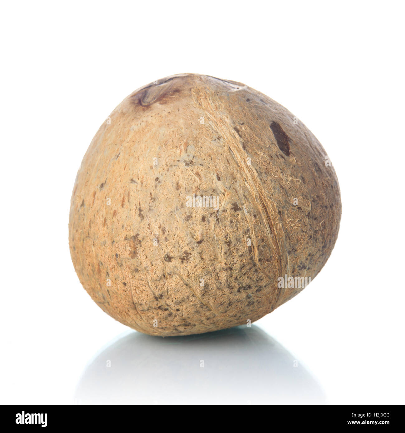 Details of coconut hi-res stock photography and images - Alamy