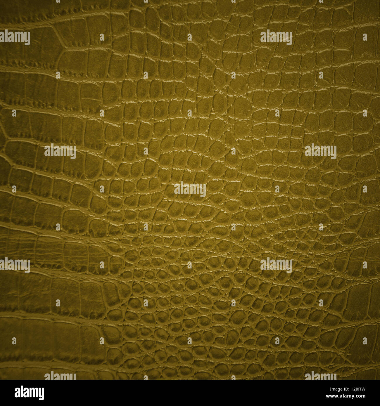 Python texture hi-res stock photography and images - Alamy