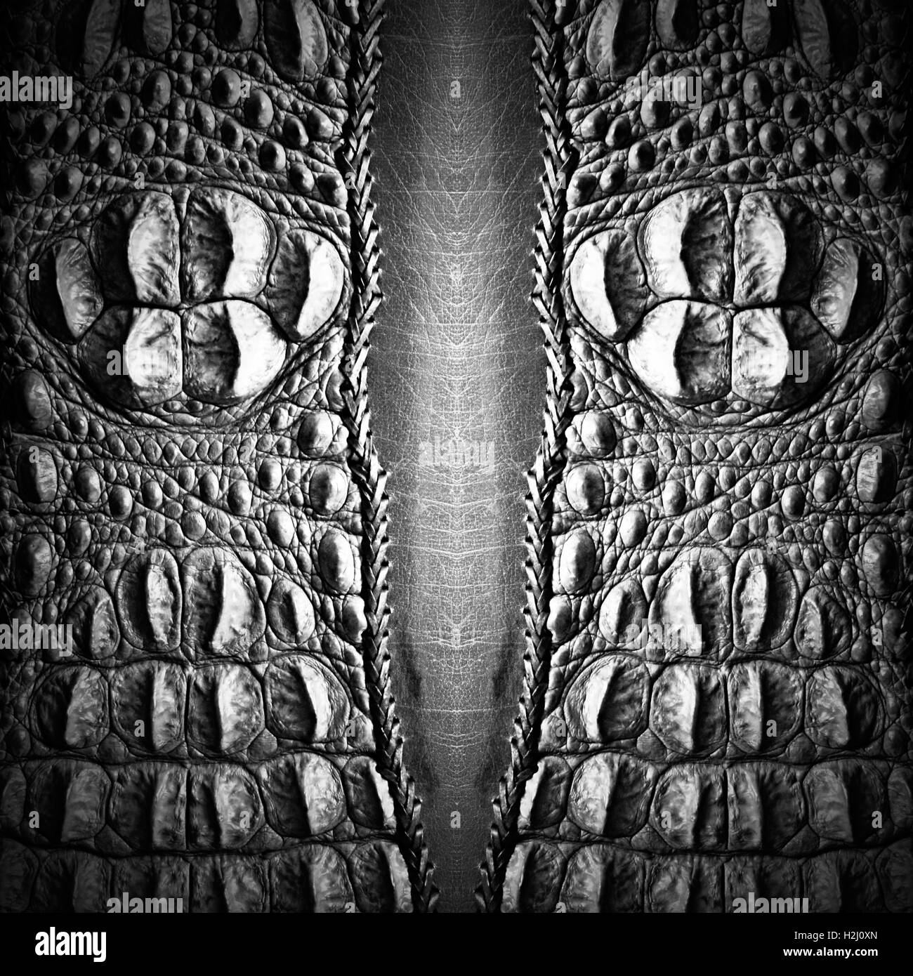 Surface of the skin Black and White Stock Photos & Images - Alamy