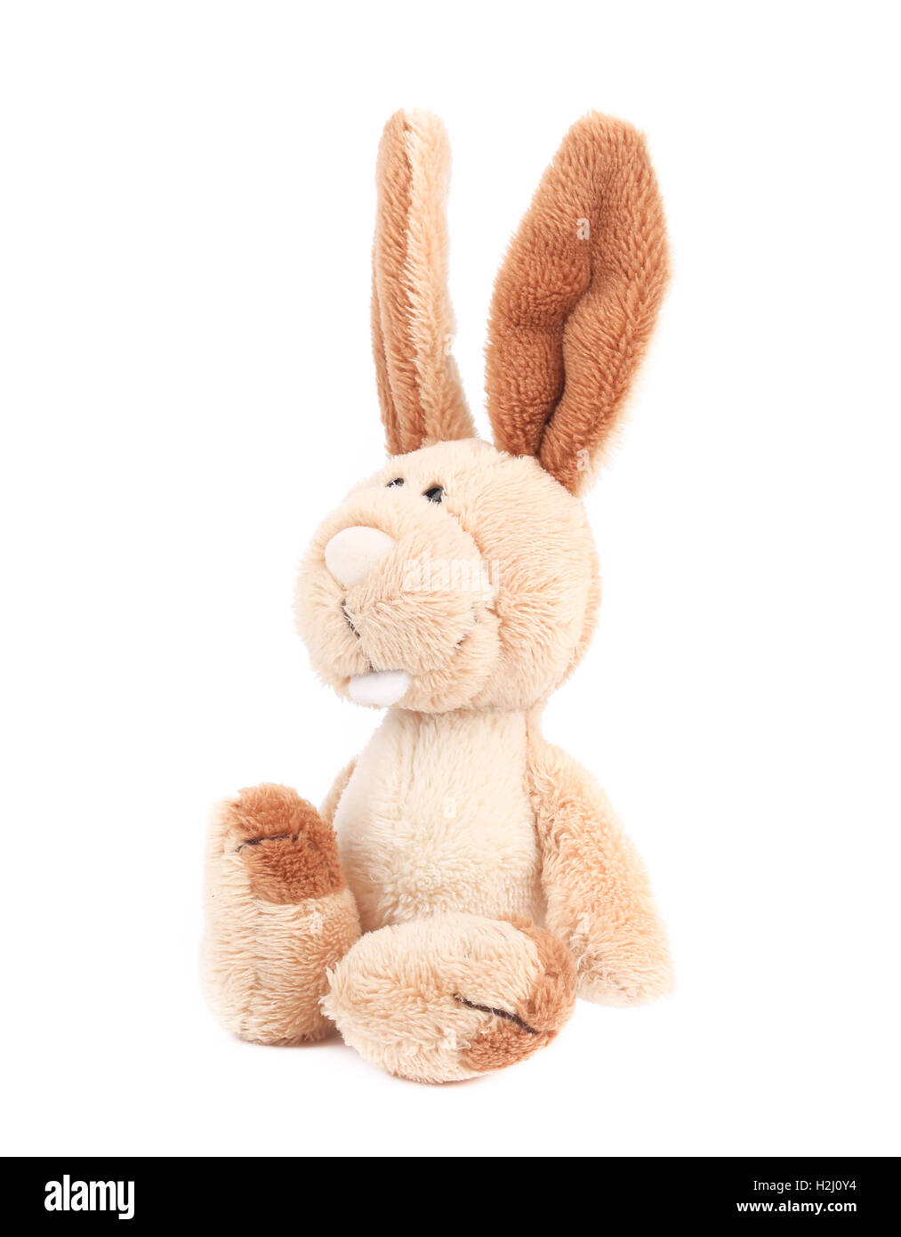 Adorable generic stuffed bunny Stock Photo - Alamy